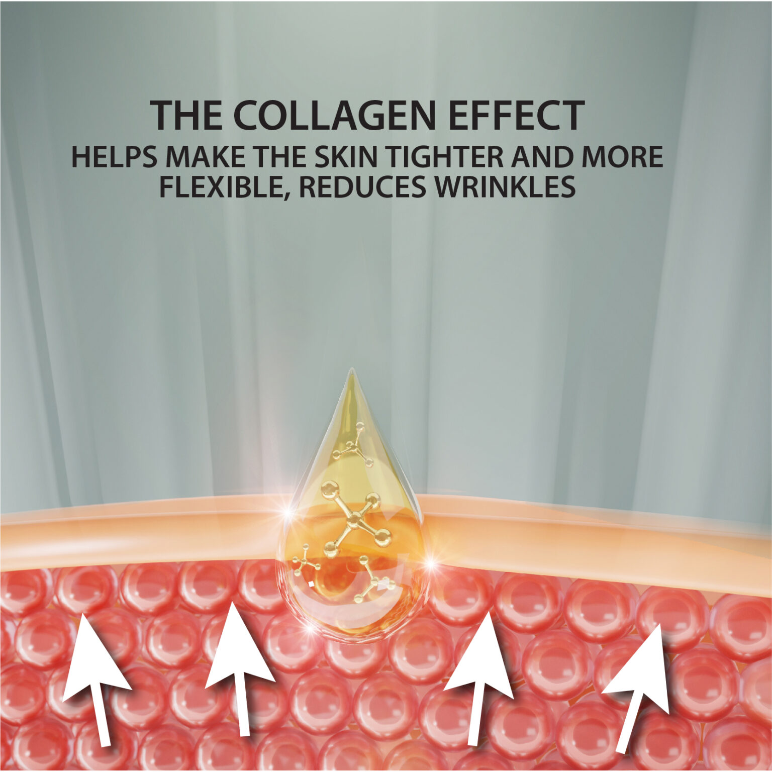 Collagen Anti Wrinkle Day Cream Dead Sea Collection