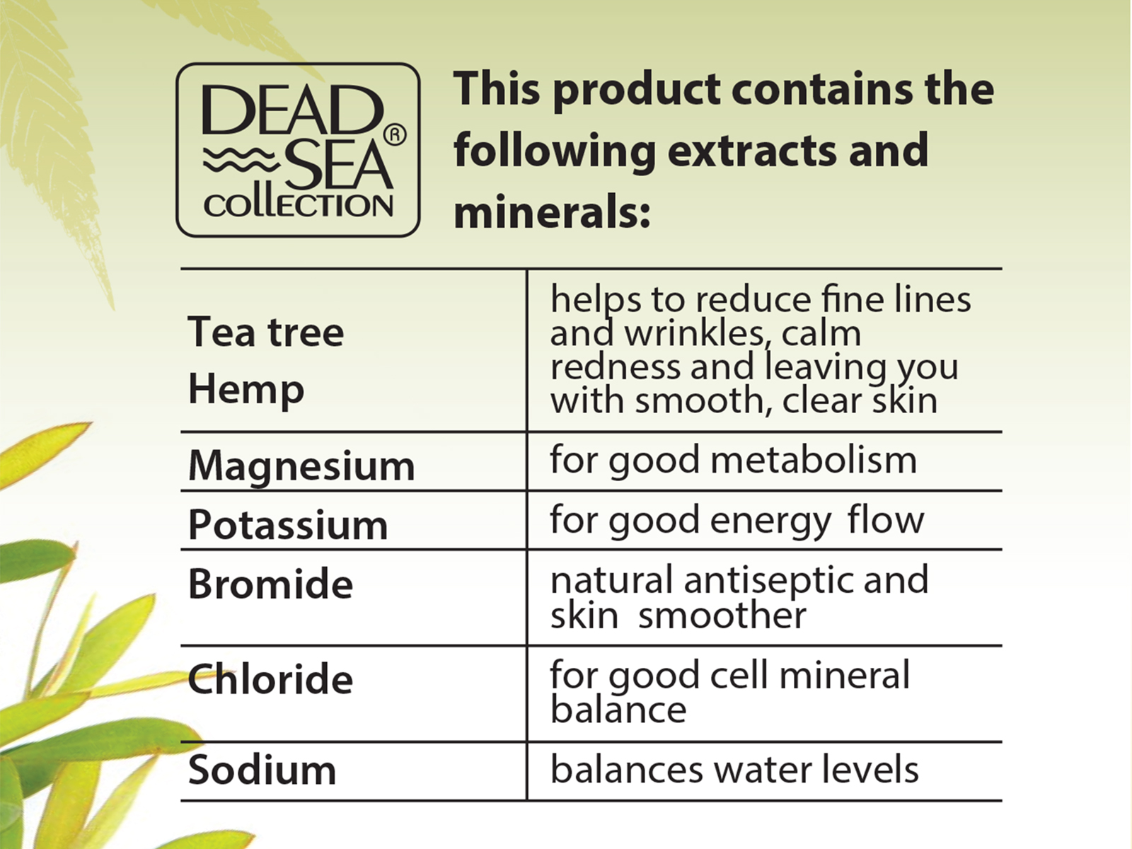 Hemp & Tea Tree Nourishing Night Cream - Dead Sea Collection